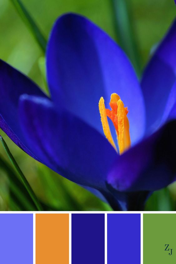 The Complete Guide to Choosing A Color Palette For Your eLearning Course