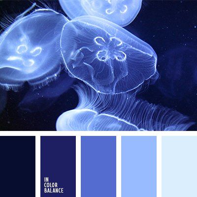 The Complete Guide to Choosing A Color Palette For Your eLearning Course